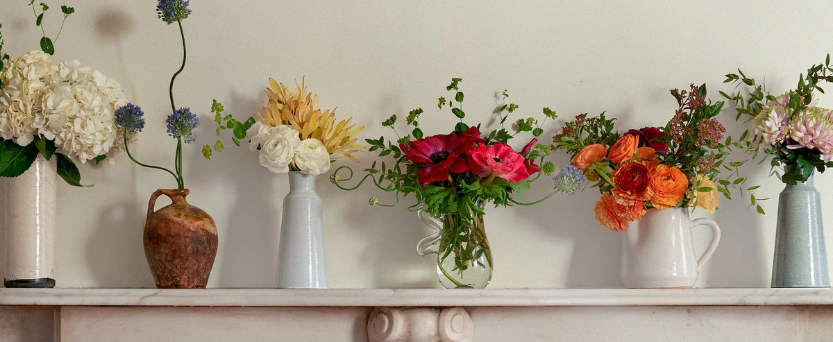 The Valentine's Day Shop – Page 2 – il Buco Vita