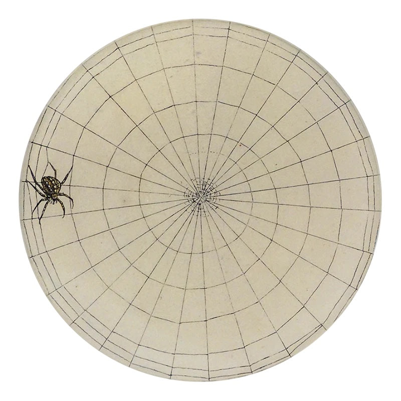 Large Web Plate – il Buco Vita
